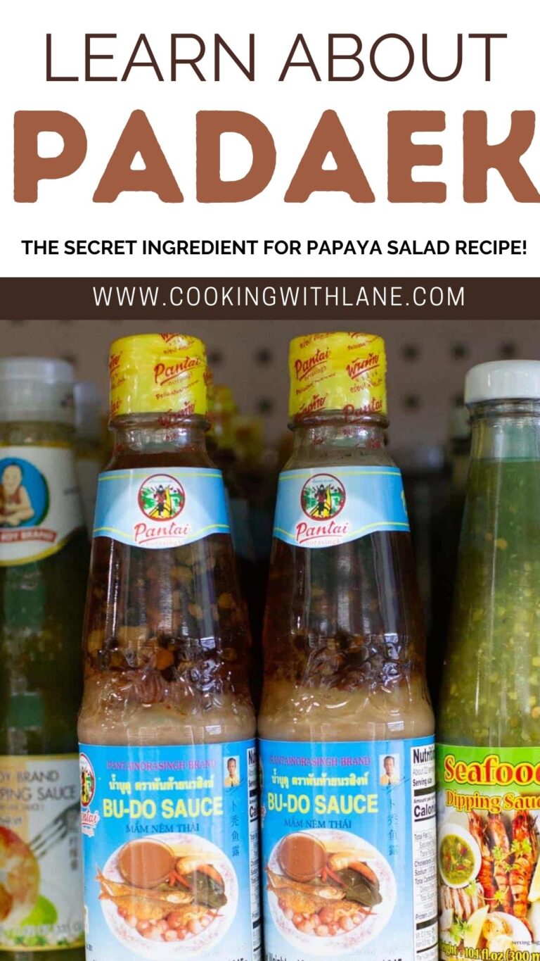 What is Padaek? (The secret ingredient in Lao and Thai Papaya Salad)