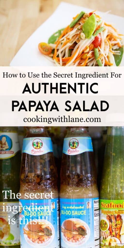 What is Padaek? (The secret ingredient in Lao and Thai Papaya Salad)