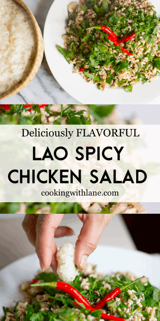 What is Laos Larb? A Flavorful and Savory Minced Meat Salad