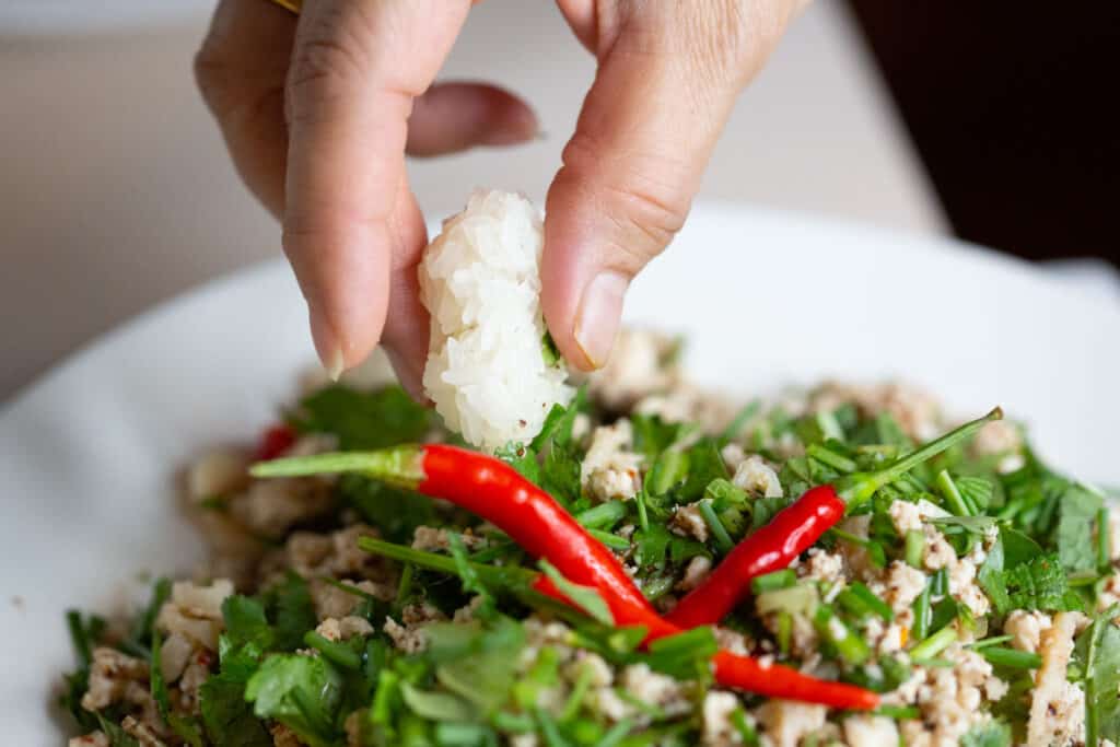 What is Laos Larb? A Flavorful and Savory Minced Meat Salad
