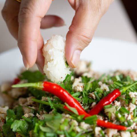 How to Make Authentic Chicken Larb Gai Recipe (Minced Meat Salad)