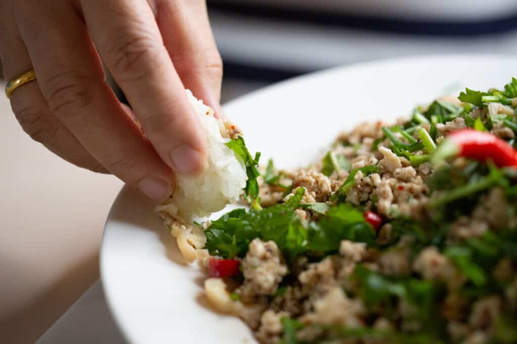 What is Laos Larb? A Flavorful and Savory Minced Meat Salad