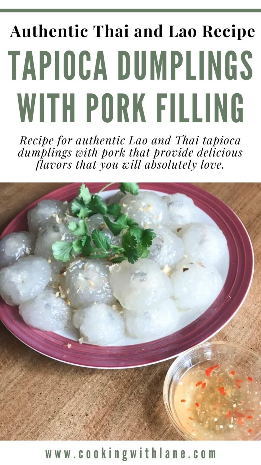 Authentic Tapioca Dumplings with Pork - Thai and Lao Recipe