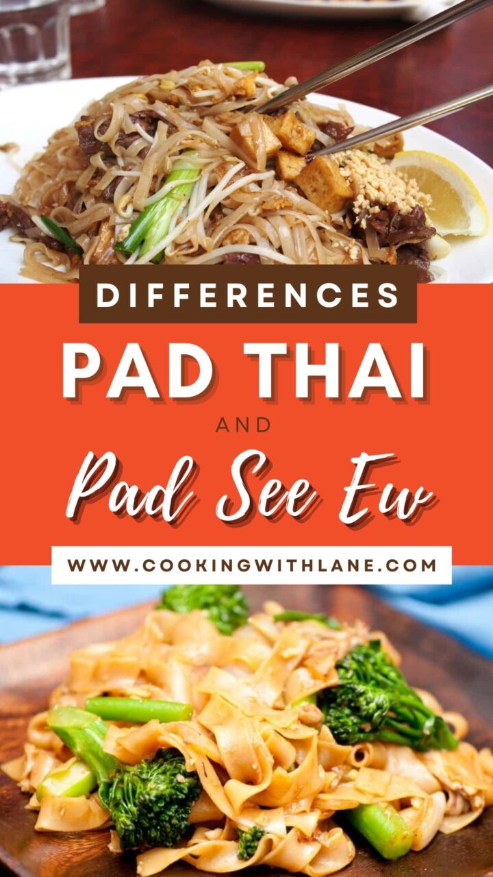 Difference Between Pad Thai and Pad See Ew