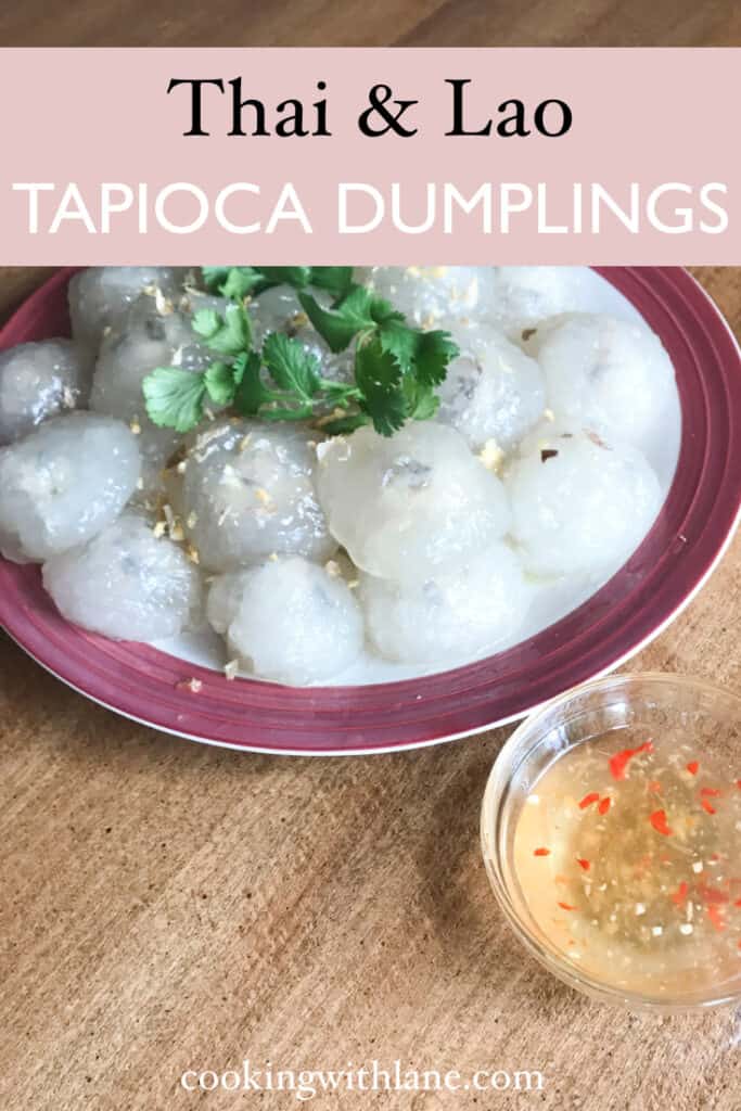Authentic Tapioca Dumplings with Pork - Thai and Lao Recipe