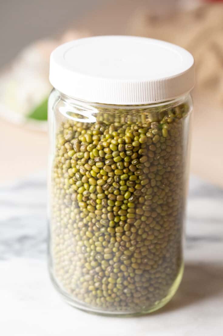 How to Sprout Mung Beans (Quick & Easily without a Sprouter)