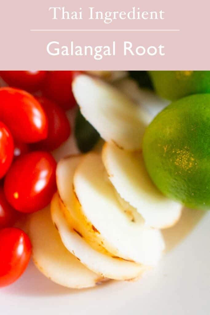 Galangal as an Ingredient (and where to find)