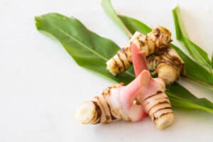 The Ultimate Guide to Laos Cooking - Common Herbs and Vegetables