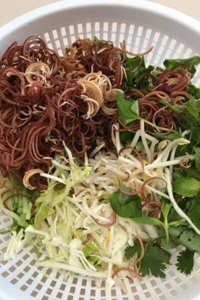 Mee Ka Tee Recipe - Authentic Thai and Lao Coconut Noodle Soup