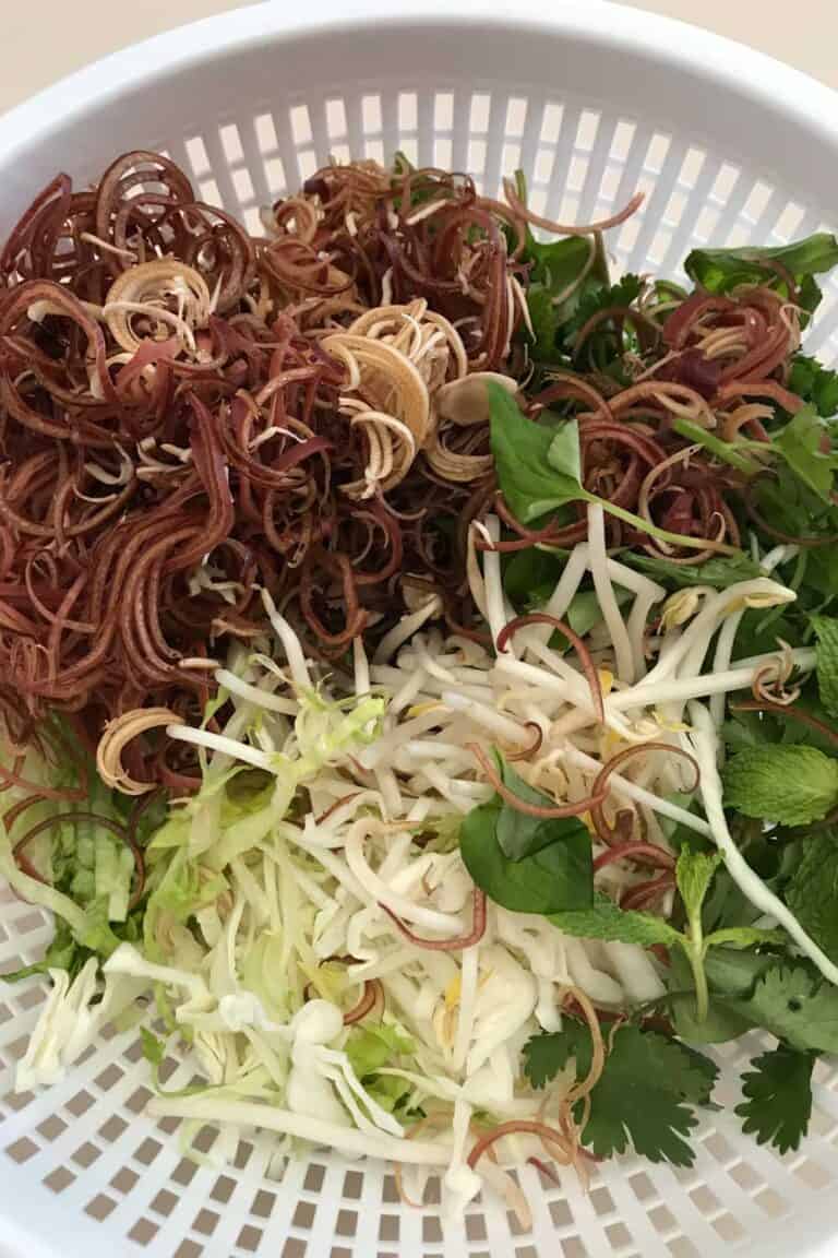 Mee Ka Tee Recipe - Authentic Thai and Lao Coconut Noodle Soup