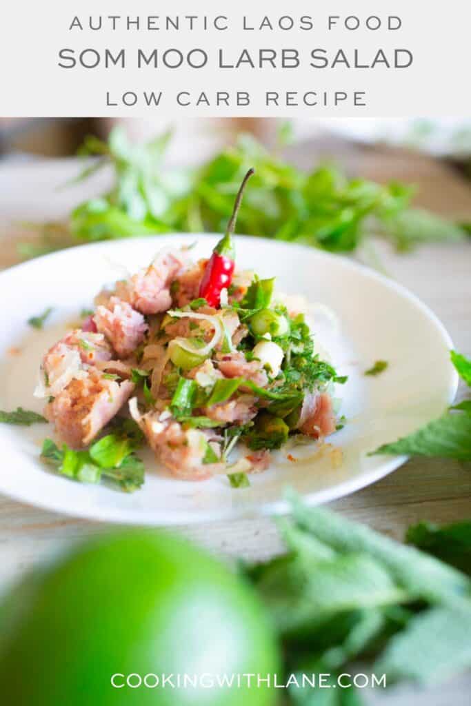 Authentic Laos Larb Som Moo - Sour Fermented Pork Salad Recipe