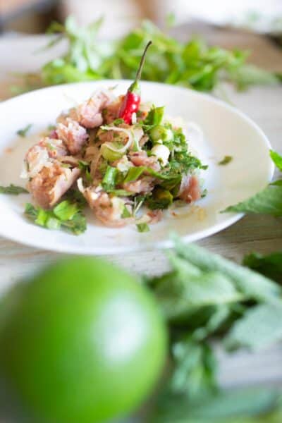 Authentic Laos Larb Som Moo - Sour Fermented Pork Salad Recipe