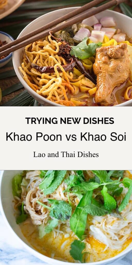 Khao Soi vs Khao Poon - What's the difference?