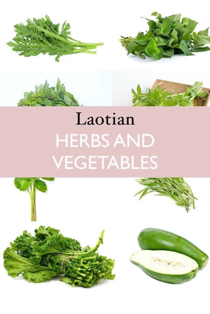 The Ultimate Guide to Laos Cooking - Common Herbs and Vegetables
