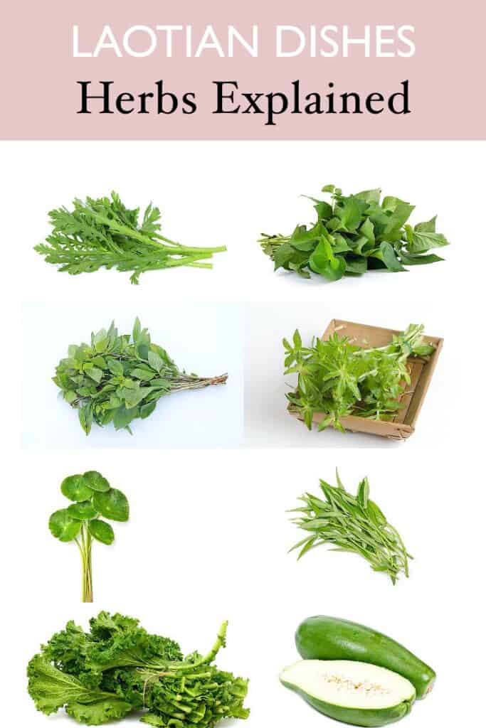 The Ultimate Guide to Laos Cooking - Common Herbs and Vegetables