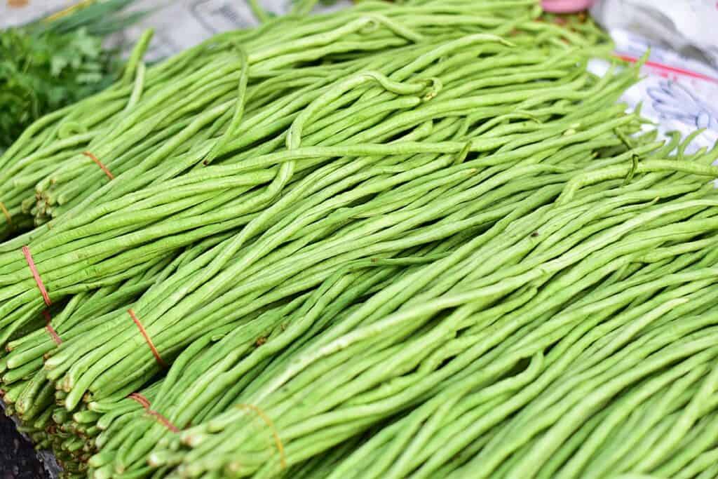 The Ultimate Guide to Laos Cooking - Common Herbs and Vegetables