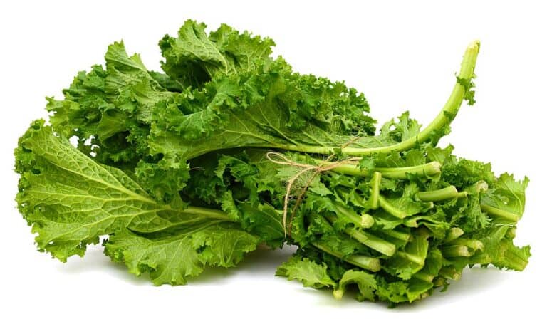 The Ultimate Guide to Laos Cooking - Common Herbs and Vegetables