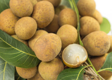 How to Eat Longan and Why You Should Try It (What It Taste Like)