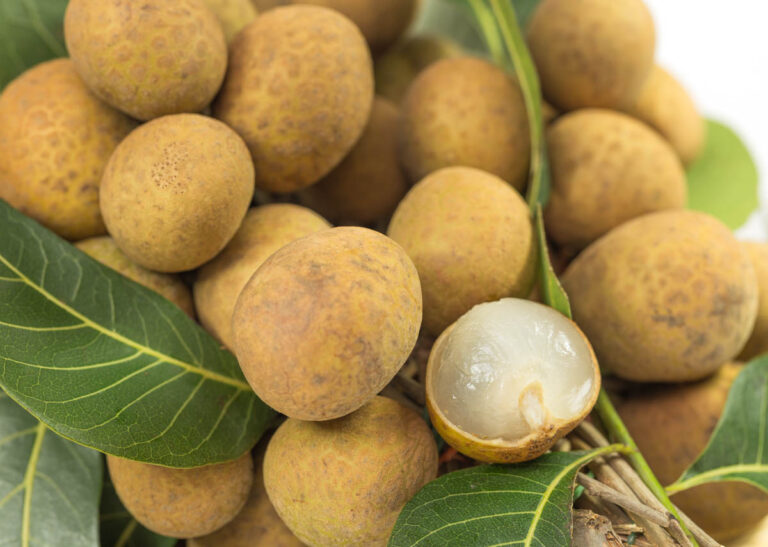 How to Eat Longan and Why You Should Try It (What It Taste Like)